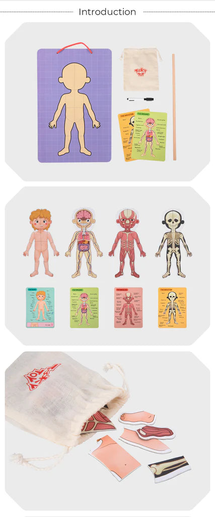 Tooky Toy - Magnetic Body Chart – Katsu Kids
